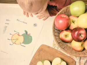 Free Aa is for Apple Homeschool Preschool Lessons
