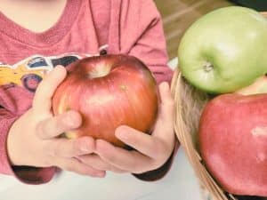 10 Fun Apple Facts for Kids & More - Playing for Hours