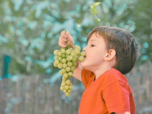 12 Grapes New Years Tradition – A Fun, Wish-Making Tradition