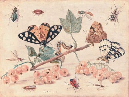 3 Ways Insects Eat: Ultimate Play Based Learning Activity