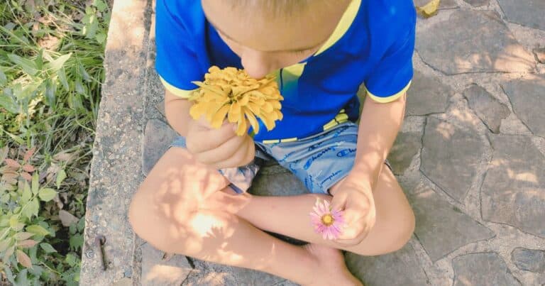 15+ Engaging 5 Senses Activities for Kids: Fun & Hands-On