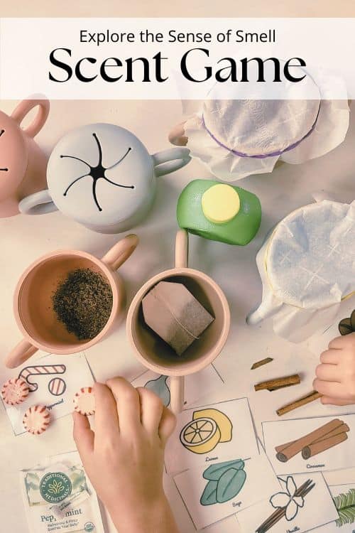 Scent Game: A Fun Activity to Explore the Sense of Smell