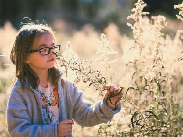 Scent Game: A Fun Activity to Explore the Sense of Smell