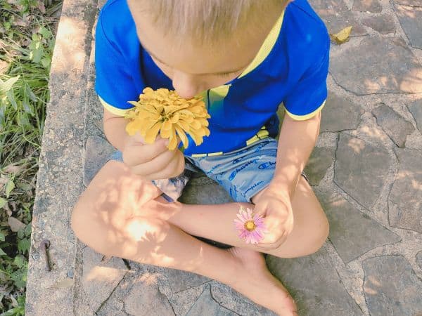 Scent Game: A Fun Activity to Explore the Sense of Smell