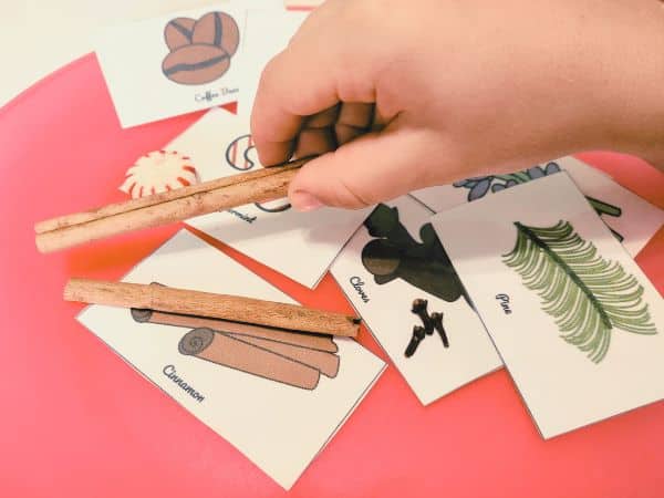 Scent Game: A Fun Activity to Explore the Sense of Smell