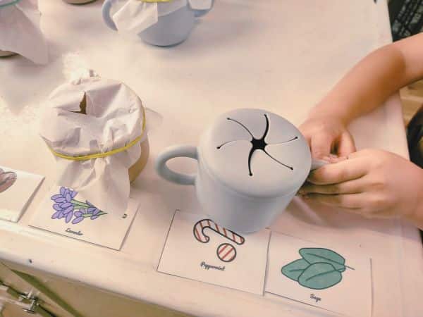 Scent Game: A Fun Activity to Explore the Sense of Smell