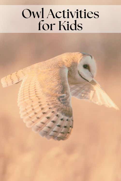 15 Owl Activities for Kids: Fun and Educational Lessons