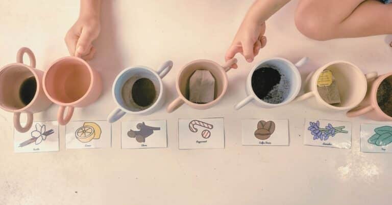 Scent Game: A Fun Activity to Explore the Sense of Smell