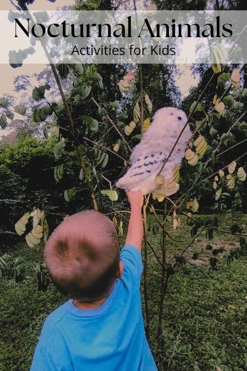Nocturnal Animal Activities for Kids: Fun & Educational
