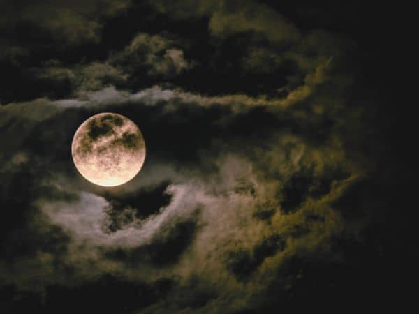 Nocturnal Animal Activities for Kids: Fun & Educational