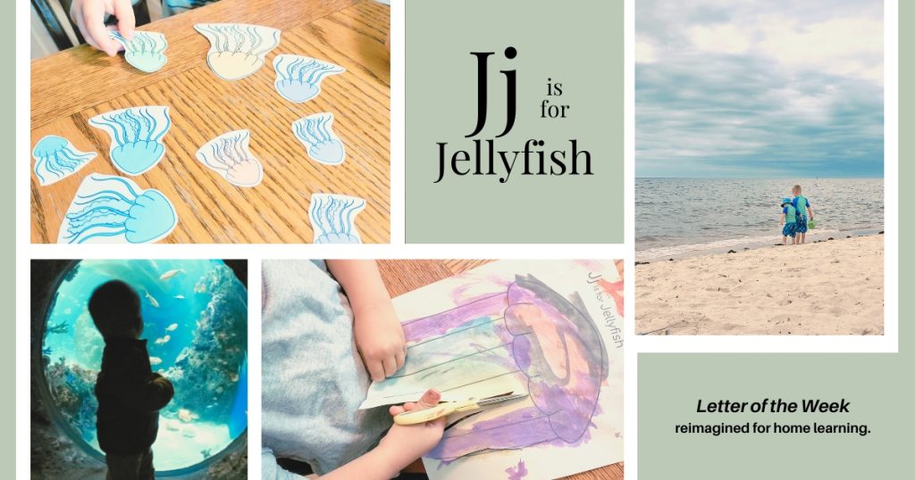 Free Jj is for Jellyfish Homeschool Preschool Curriculum