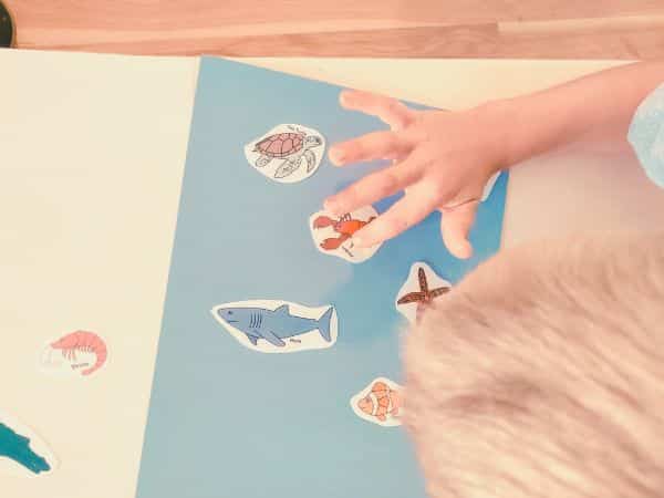 Animals Who Live in Water: Free Printable, Facts, & Activity