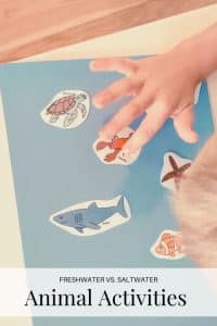 Animals Who Live in Water: Free Printable, Facts, & Activity