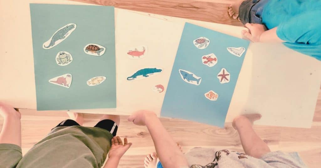 Animals Who Live in Water: Free Printable, Facts, & Activity