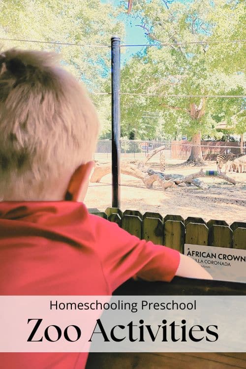 12 Zoo Activities for Preschoolers: Fun & Easy Ideas