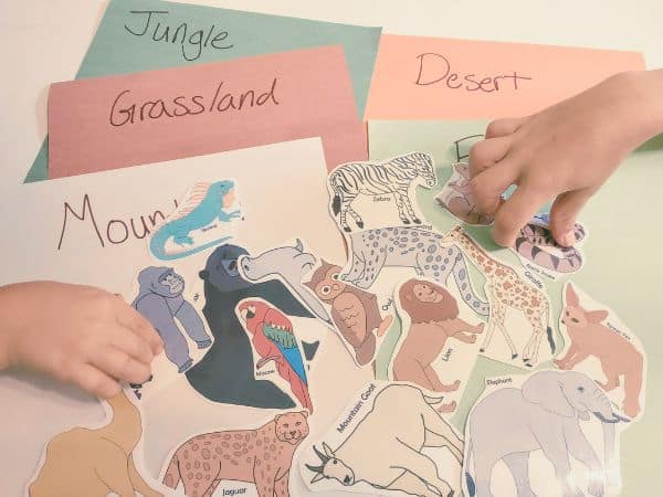 The Best Animal Habitats for Kindergarten Sorting Activity.
