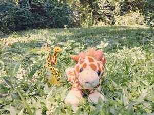 25+ Wild Animal Activities for Preschoolers: Fun Ideas