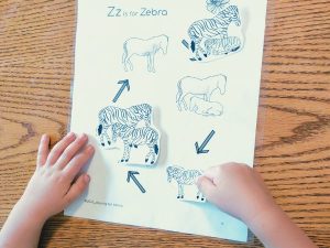 How to Teach Your Child About the Life Cycle of an Animal - Playing for ...