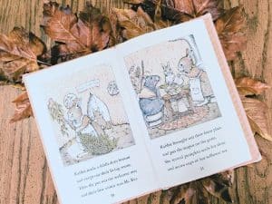 40+ Best Books About Seasons to Read Aloud to Your Child