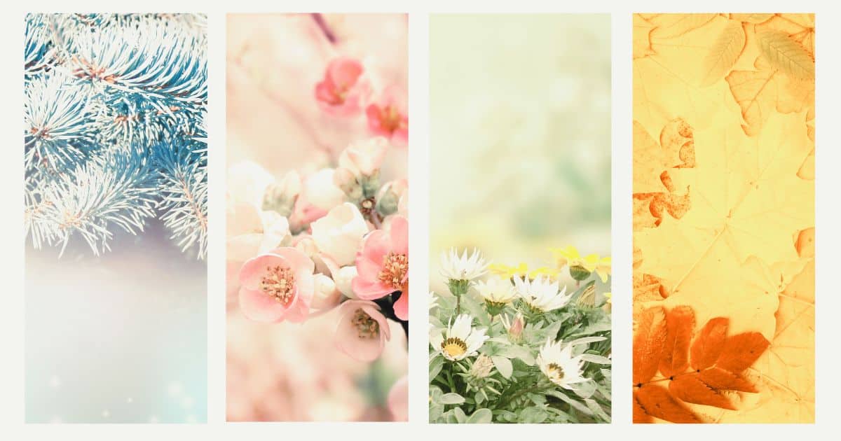 40+ Best Books About Seasons to Read Aloud to Your Child