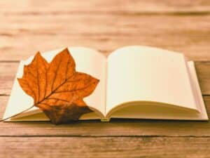 The Best Leaf Art for Kids: Fun, Easy, and No Mess